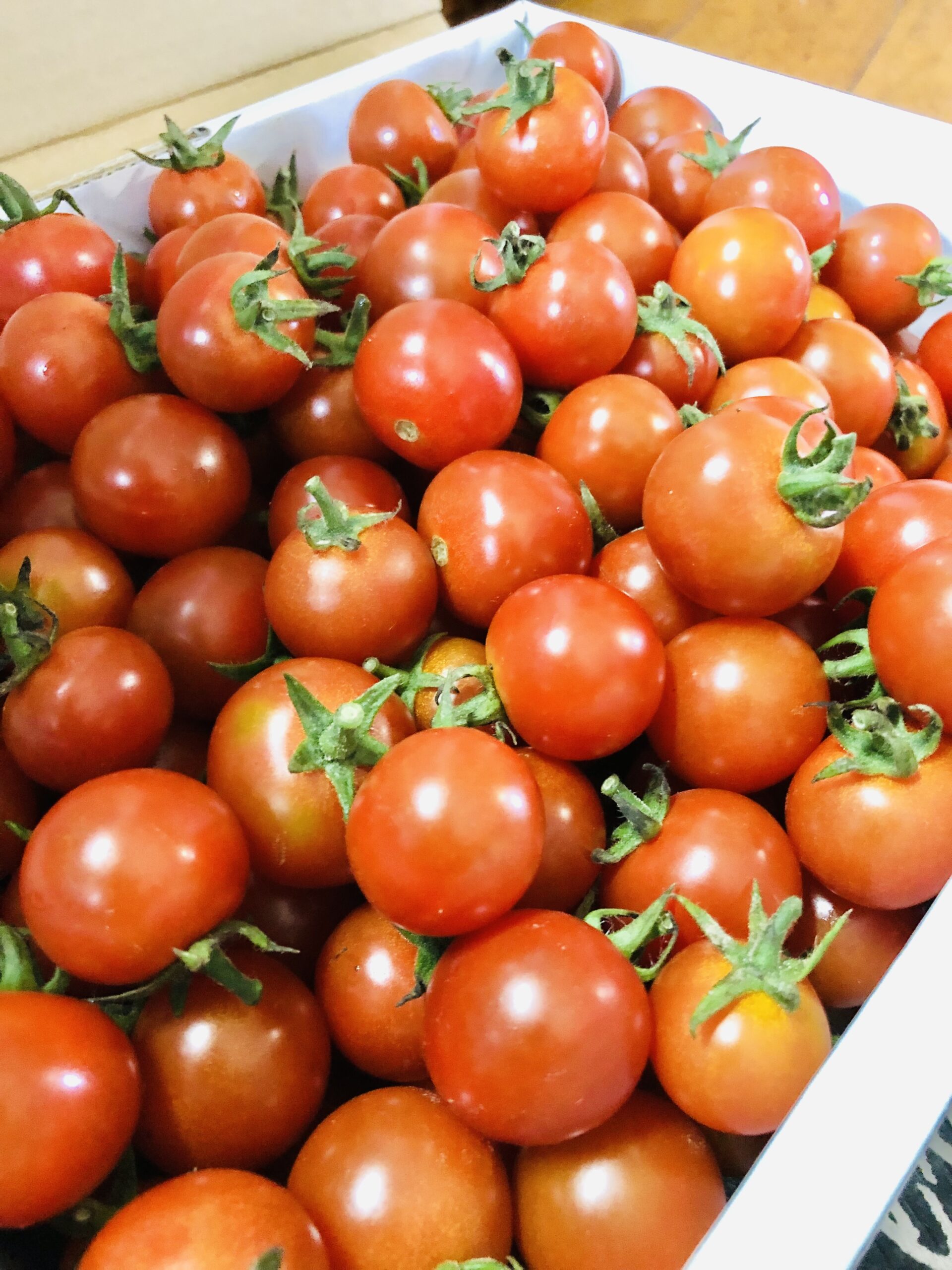 （終了）真っ赤なミニトマト＆カラフルエディブルフラワー摘み取り体験｜宇城市イベント ｜ 宇城市観光サイトUki trip（ウキトリップ）