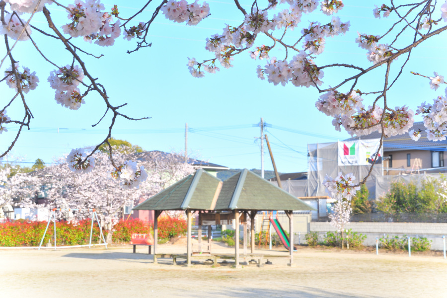 本村地区農村広場｜宇城市アンバサダーおすすめ桜スポット ｜ 宇城市観光サイトUki trip（ウキトリップ）