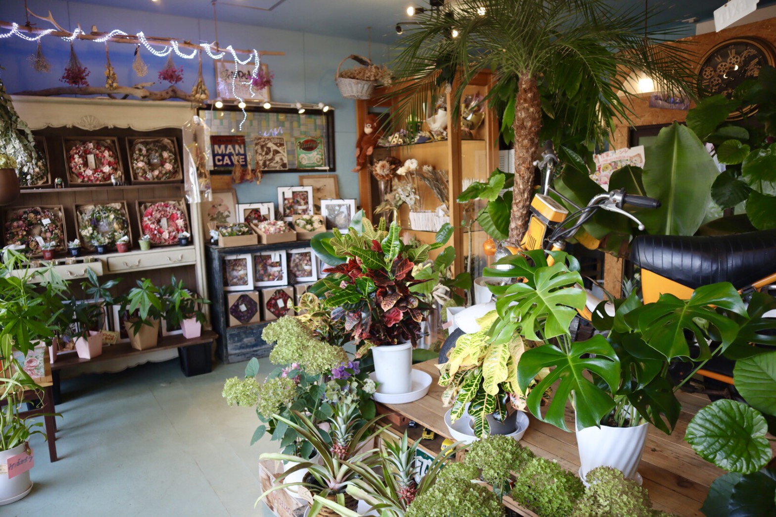 HARUNA｜宇城市アンバサダーおすすめショップ ｜ 宇城市観光サイトUki trip（ウキトリップ）